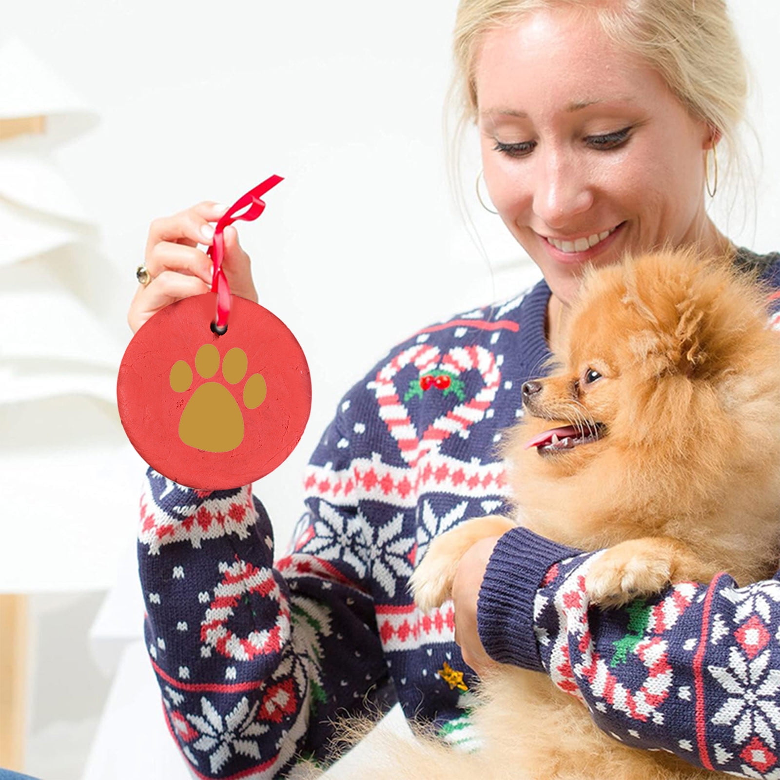 StSilkitty Pet Paw Print Memorial Set with Unique Capture Easily Create ...