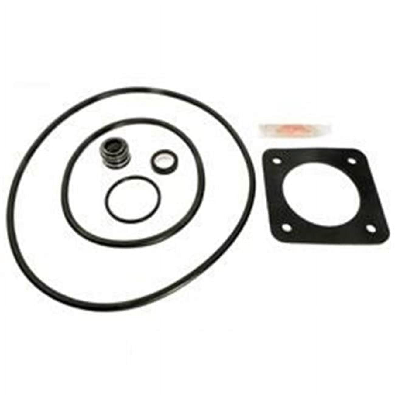 Sta-Rite Dura Glas & Max E-Glas P2RA P2R Repair Kit - Walmart.com