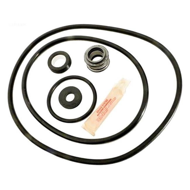 Sta-Rite Dyna-Glas Pump Repair Kit - Walmart.com