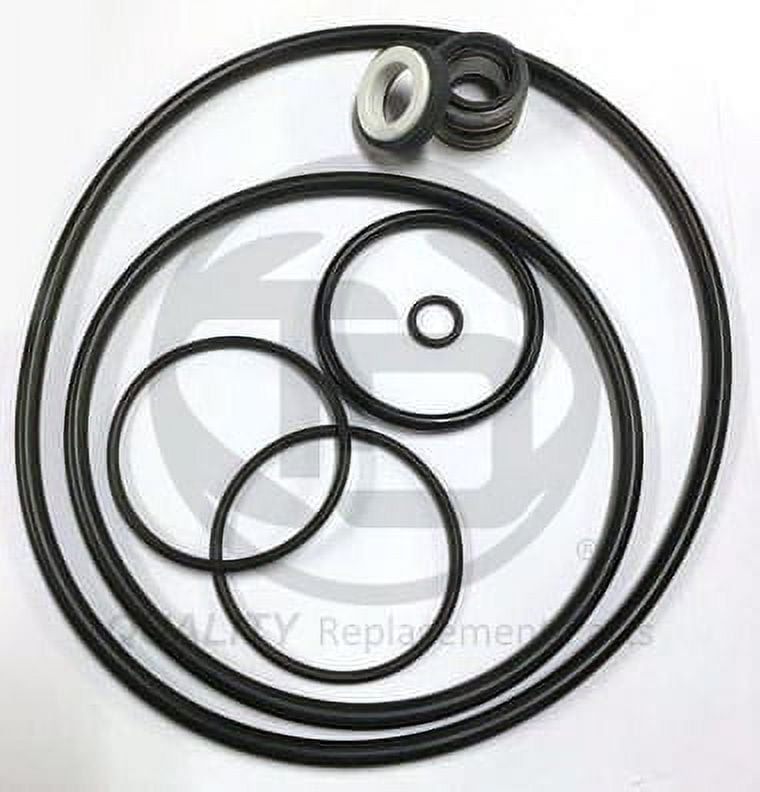 Sta-Rite Dyna-Glas and Dyna-Max Pool Pump Seal & O-ring Kit - Walmart.com