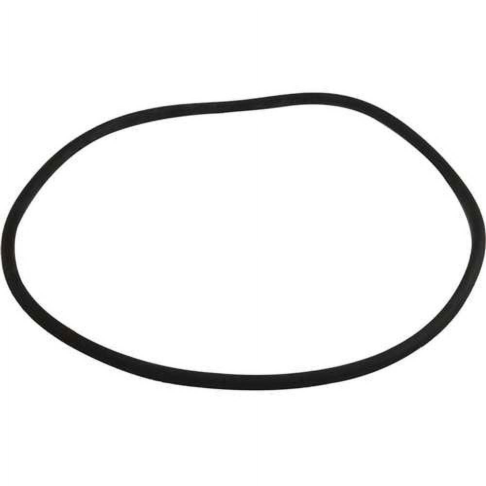 Pentair 24700-0068 16" Tank Body O-Ring - Walmart.com