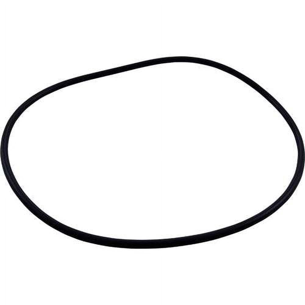 Sta-Rite Pentair O-Ring, Posi-Flo, Tank Lid, O-419 Part # 25230-0010S ...