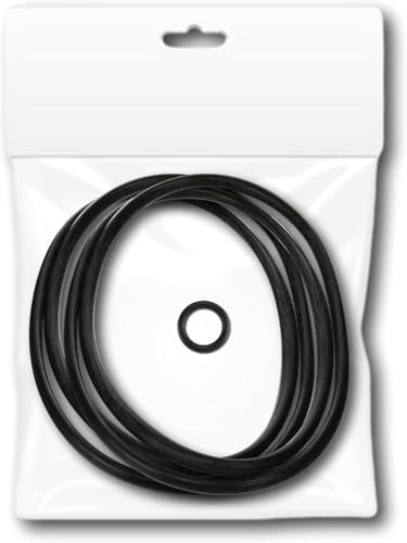 Sta-Rite Pentair Posi-Flo II Pool Filter O-Ring Kit - Compatible with ...