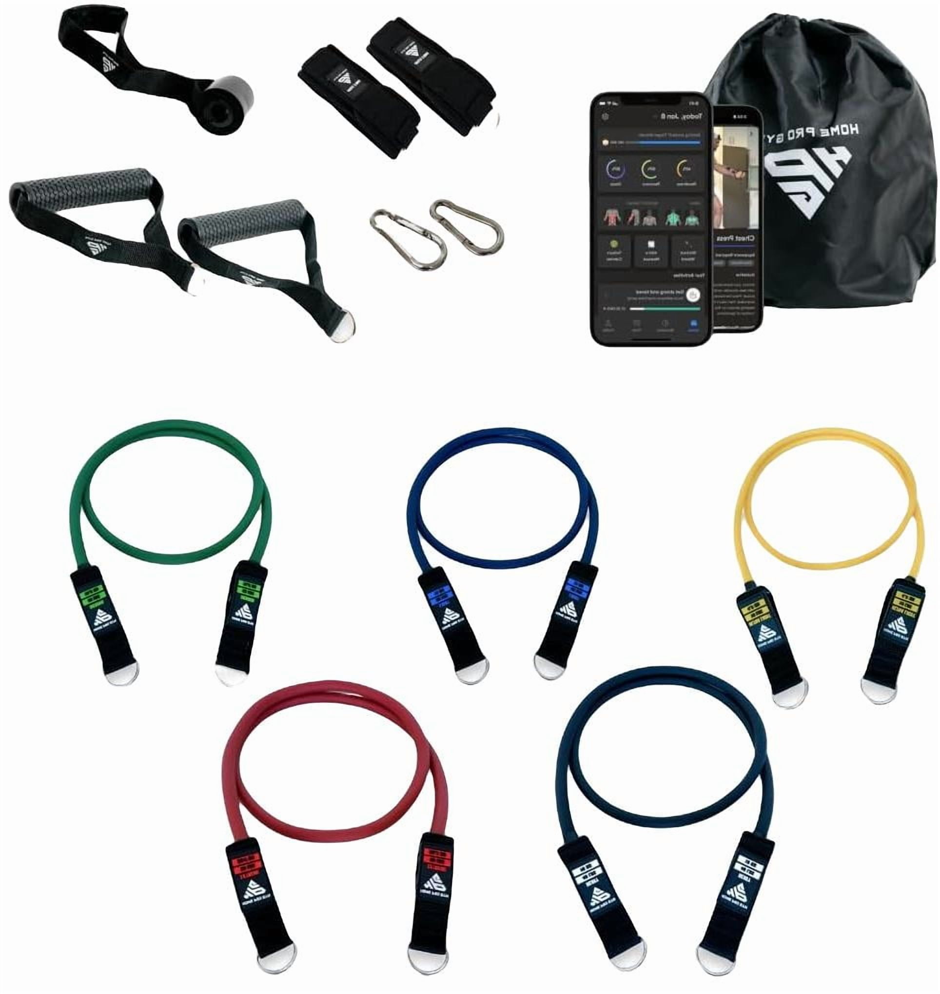 Stackable Bands 450LBS, Bar, Handles, Anchor, Straps, Workout Guide ...