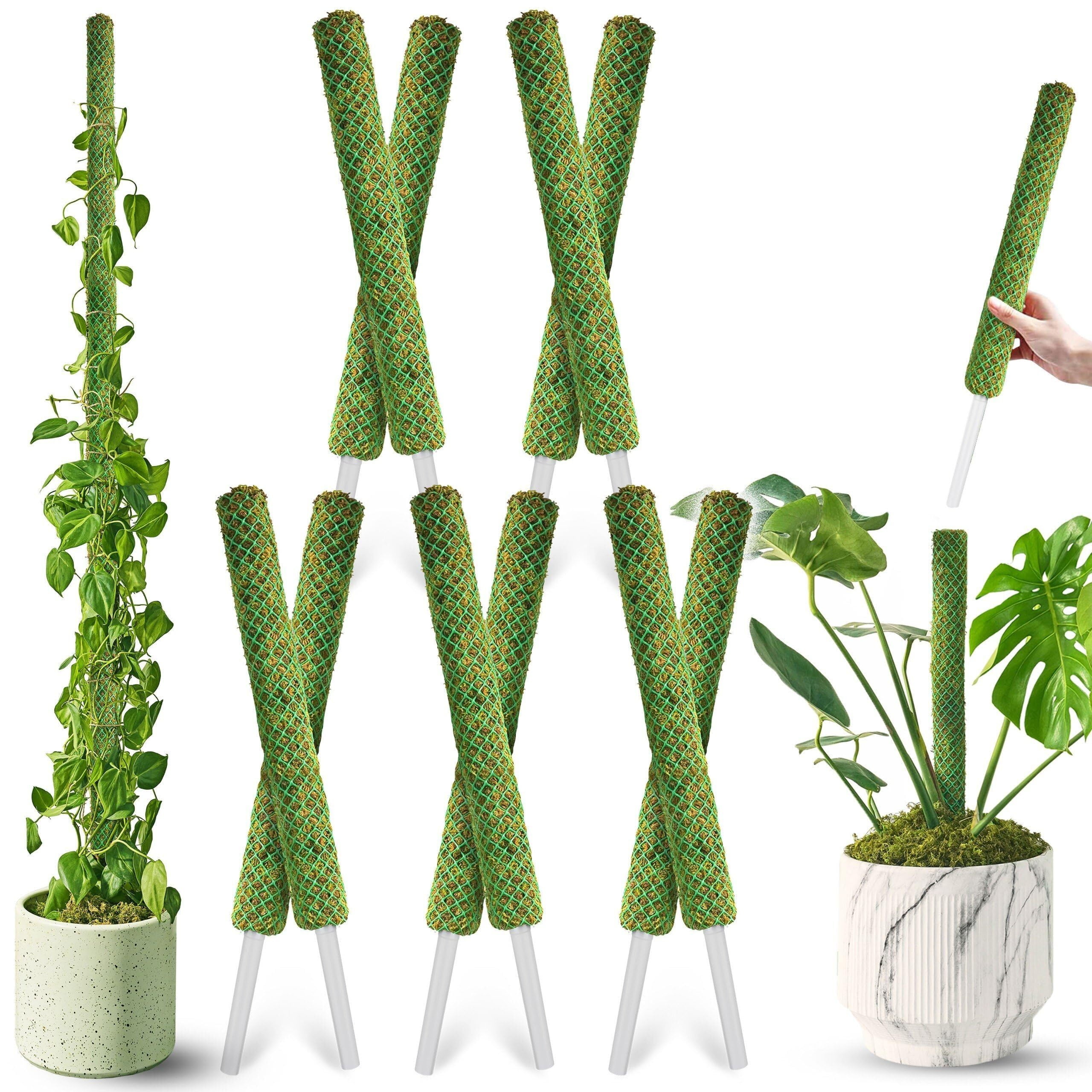 Stackable Mesh Moss Pole for Plants Monstera Potted Plant Stakes for ...