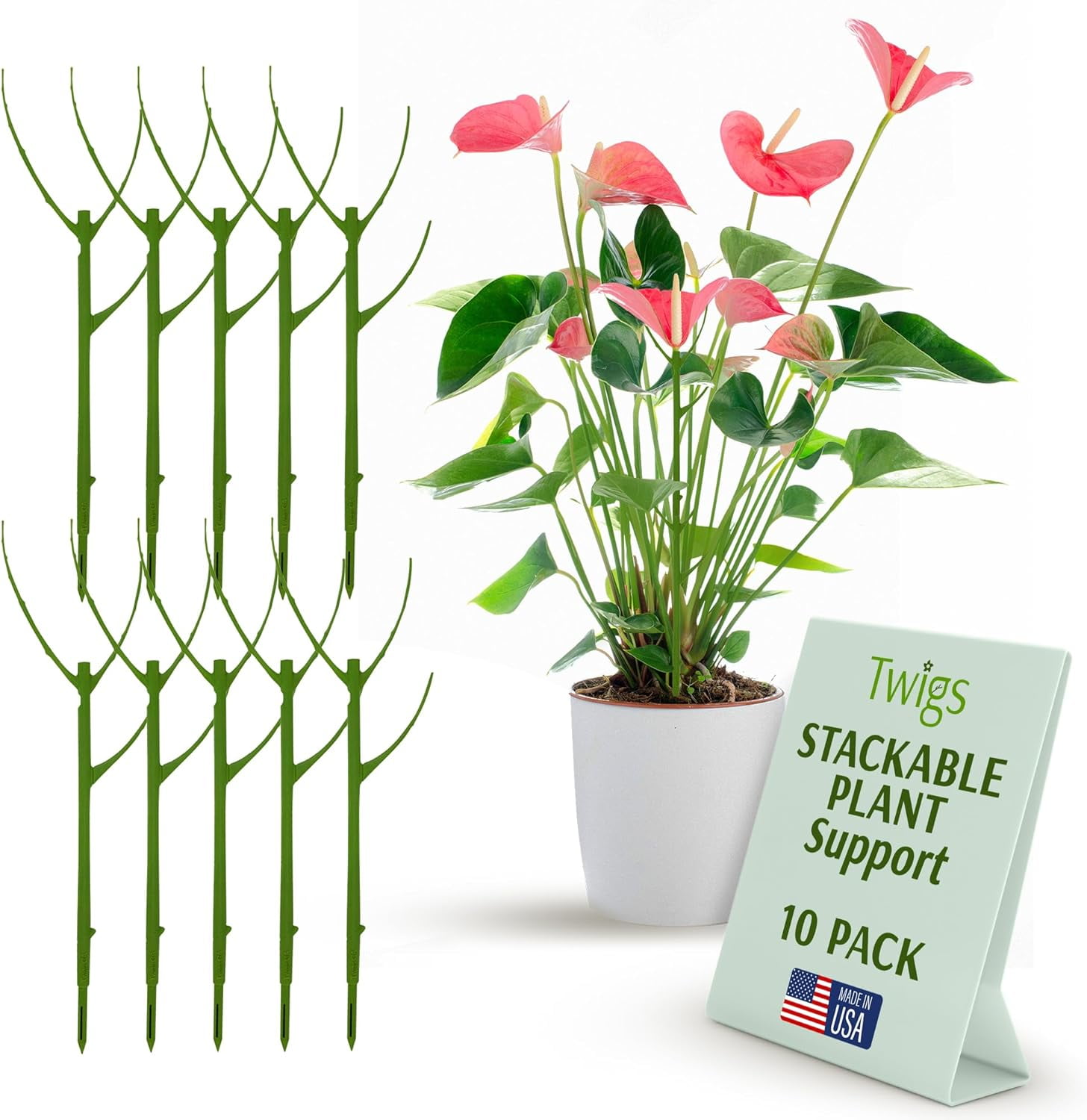 Stackable Plant Support Stakes, Stem Holder Structures for Indoor ...