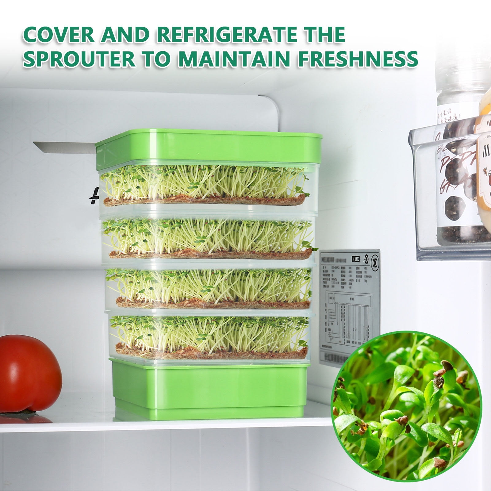 Stackable Sprouter Kit, 4 Tier Microgreens Growing Tray For Bean ...