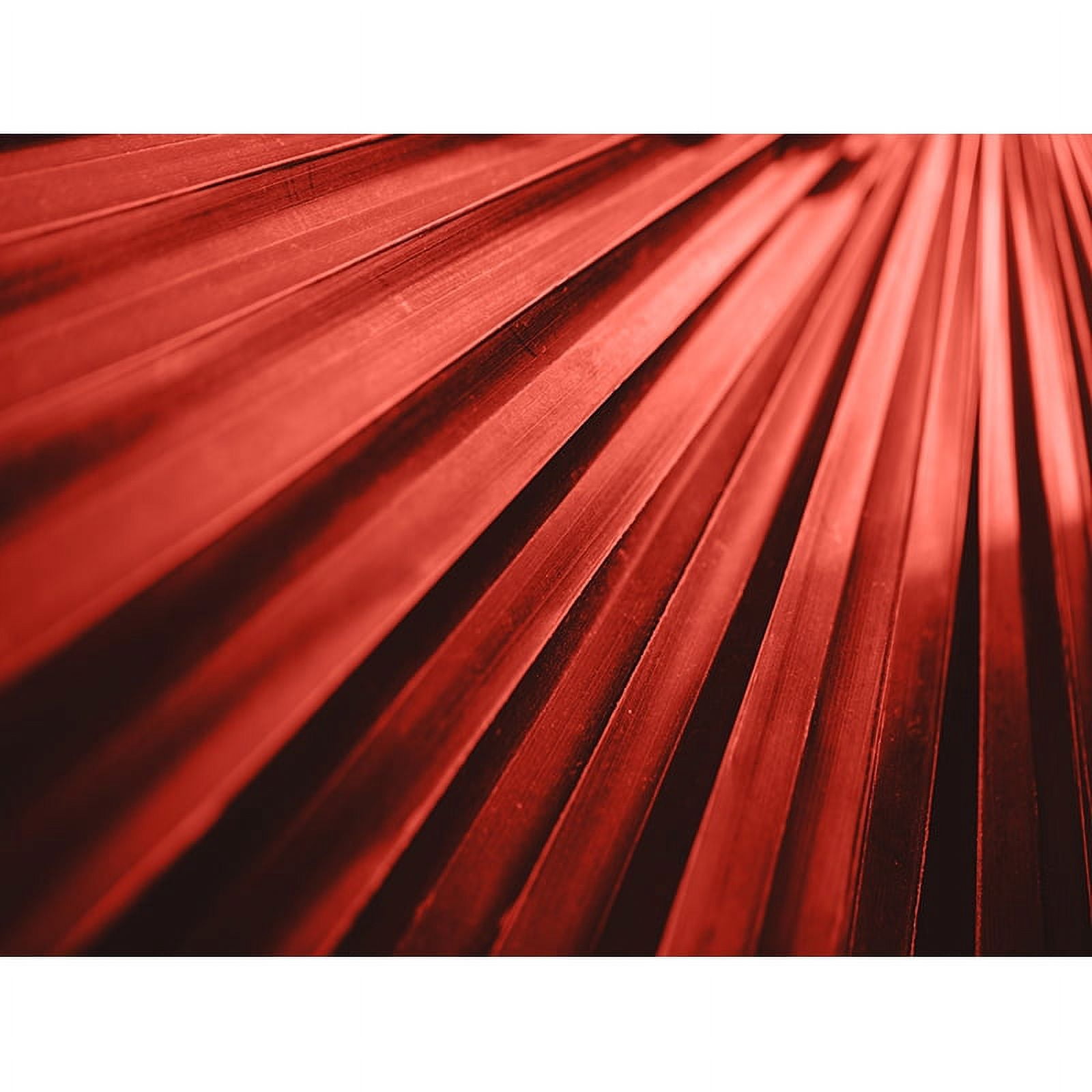 Stadium Trophy Soccer Photography Background Final Match Pitch Ball ...