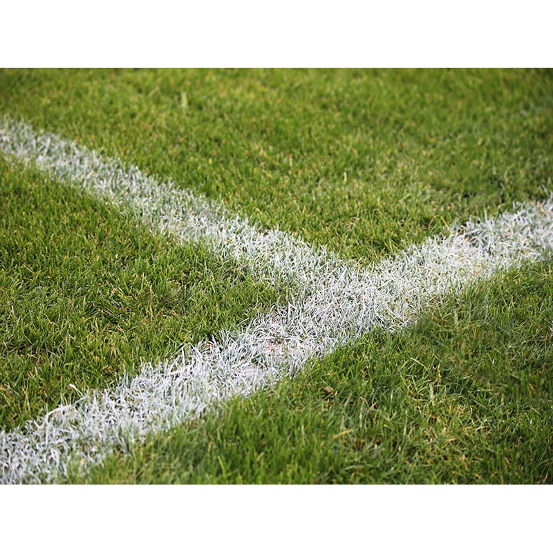 Stadium Trophy Soccer Photography Background Final Match Pitch Ball ...