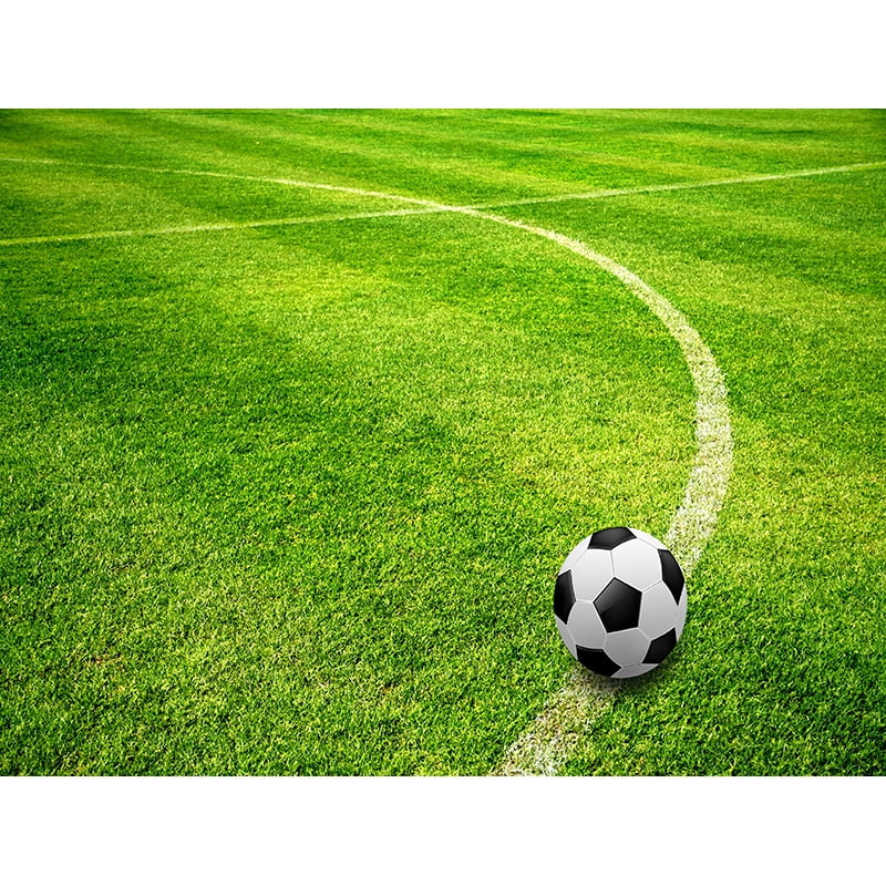 Stadium Trophy Soccer Photography Background Final Match Pitch Ball ...