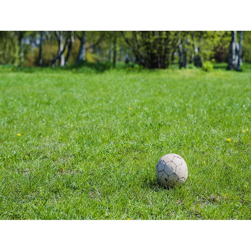 Stadium Trophy Soccer Photography Background Final Match Pitch Ball ...