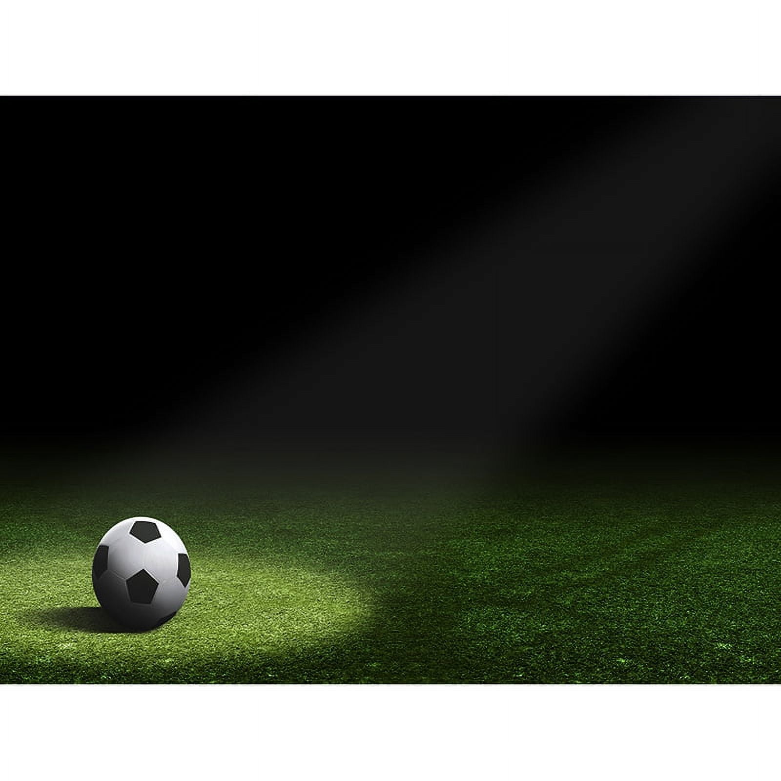 Stadium Trophy Soccer Photography Background Final Match Pitch Ball ...