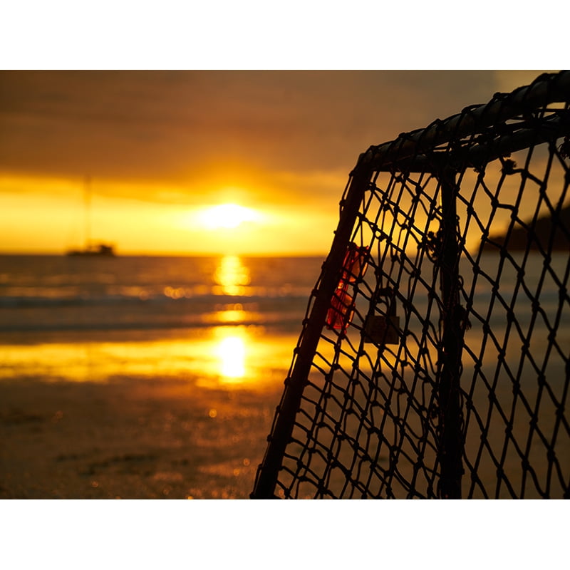 Stadium Trophy Soccer Photography Background Final Match Pitch Ball ...