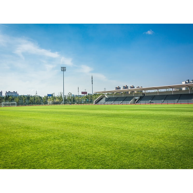 Stadium Trophy Soccer Photography Background Final Match Pitch Ball ...