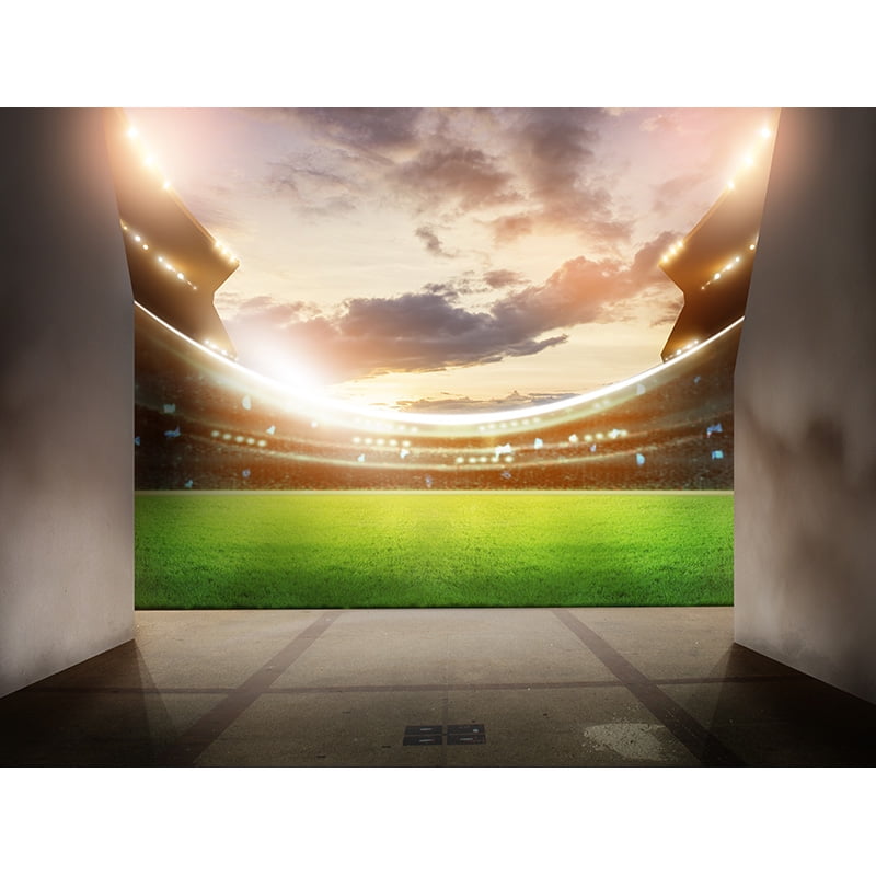 Stadium Trophy Soccer Photography Background Final Match Pitch Ball ...