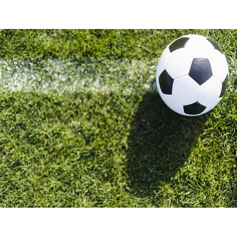 Stadium Trophy Soccer Photography Background Final Match Pitch Ball ...