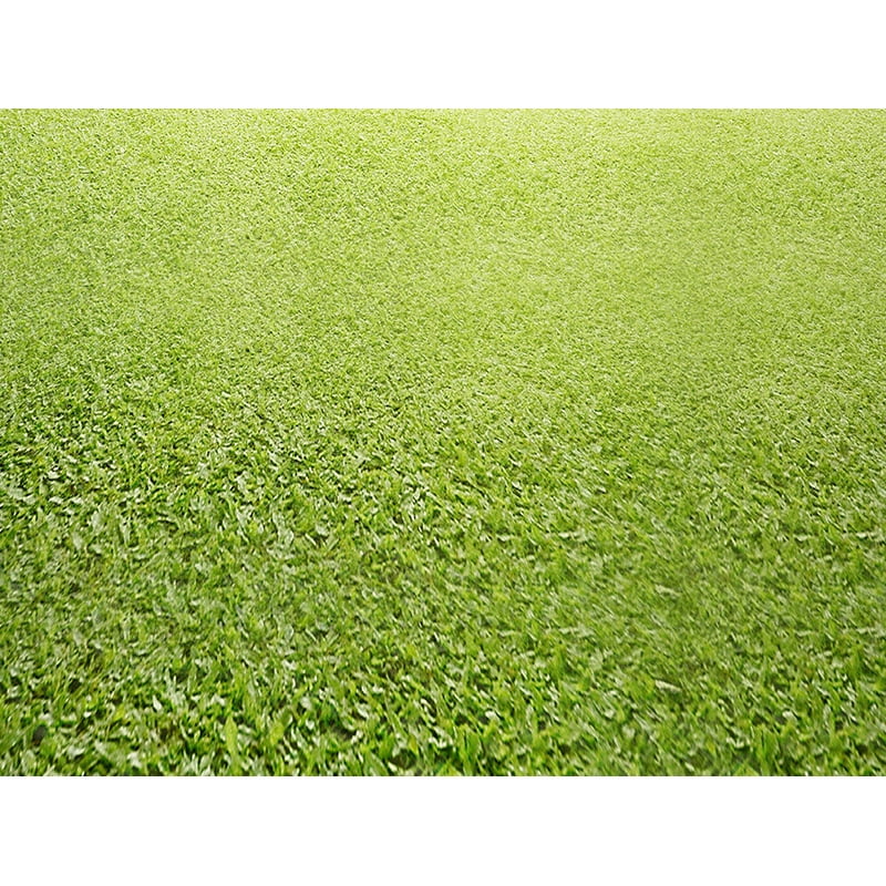 Stadium Trophy Soccer Photography Background Final Match Pitch Ball ...