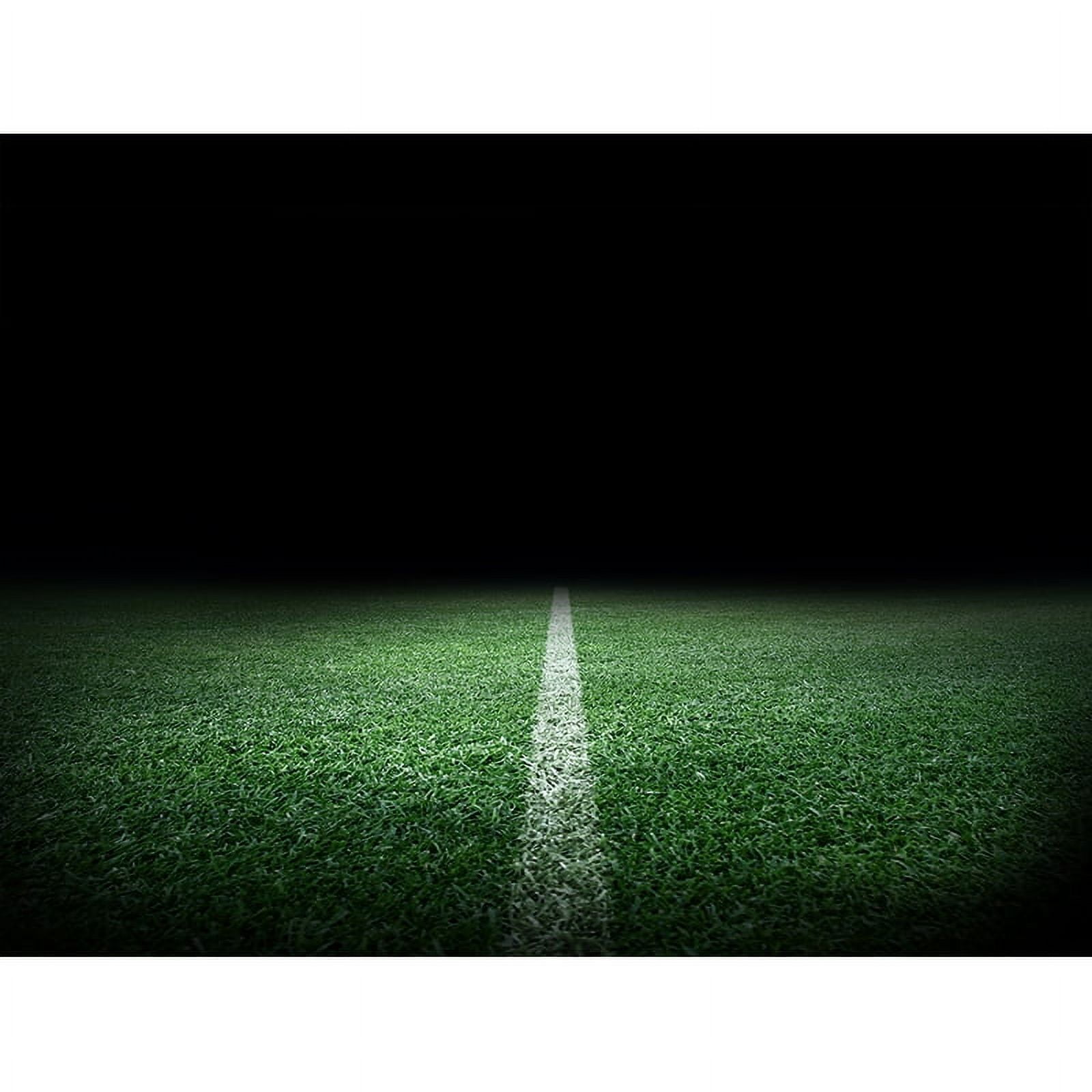 Stadium Trophy Soccer Photography Background Final Match Pitch Ball ...