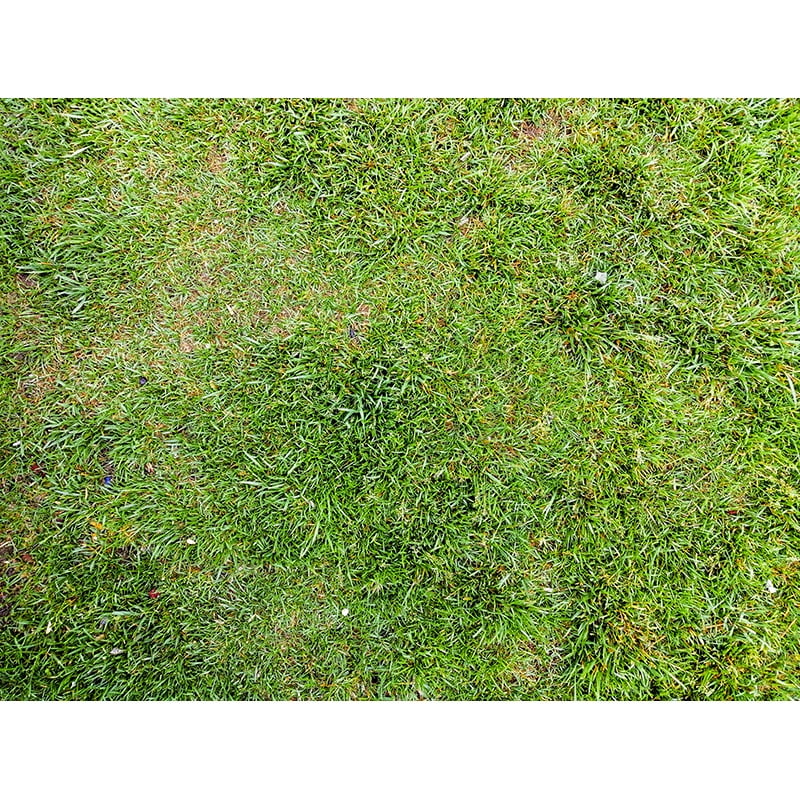 Stadium Trophy Soccer Photography Background Final Match Pitch Ball ...