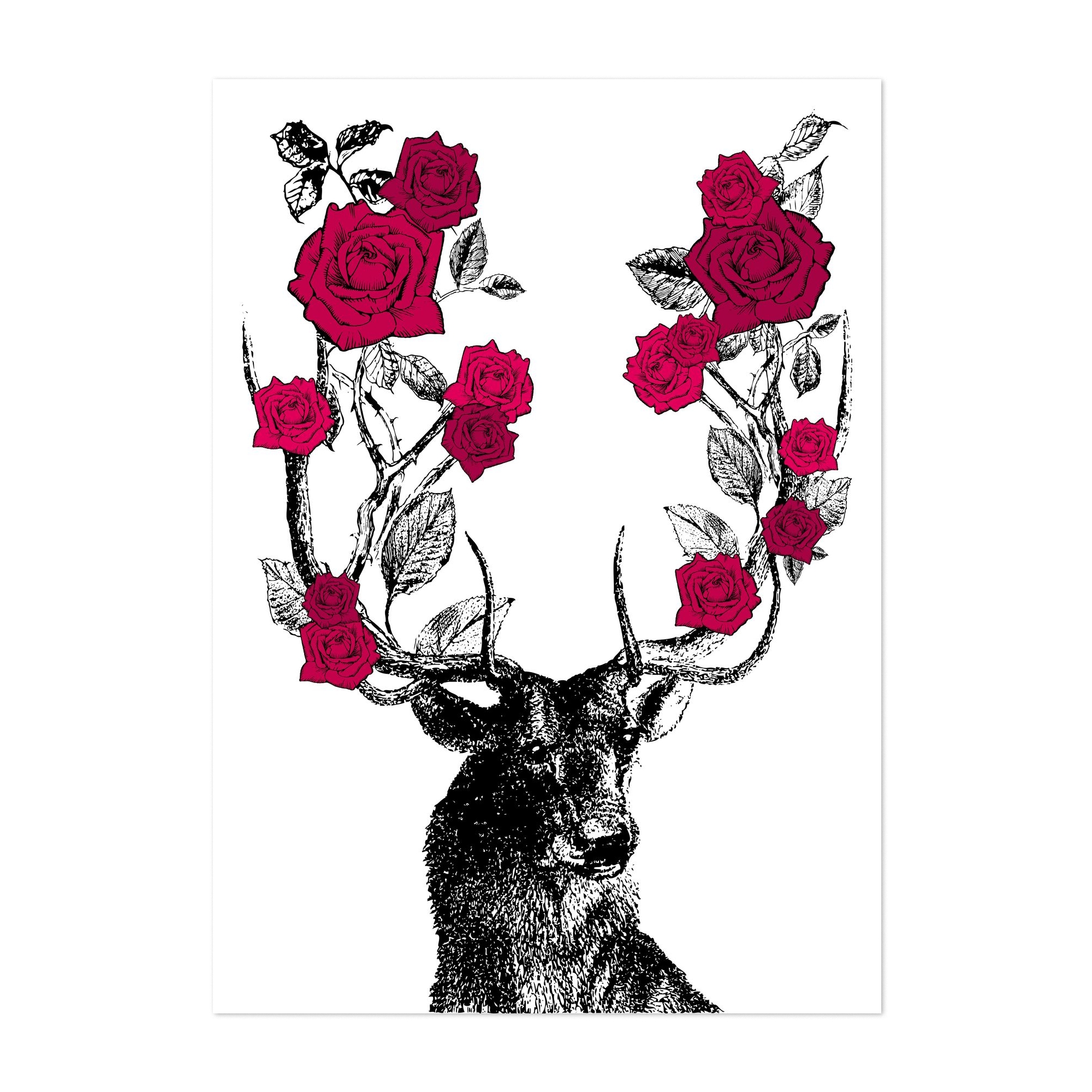Stag and Roses | Deer and Roses | Stag and Flowers | Deer and Flowers ...