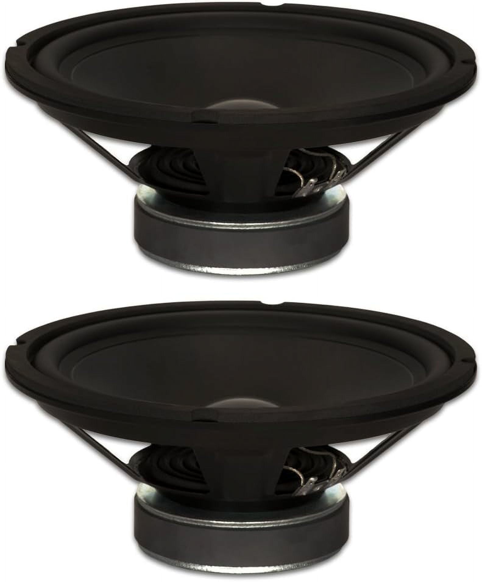 Stage Subwoofer, Rubber Surround 10" Woofers 250 Watts Each 8ohm ...