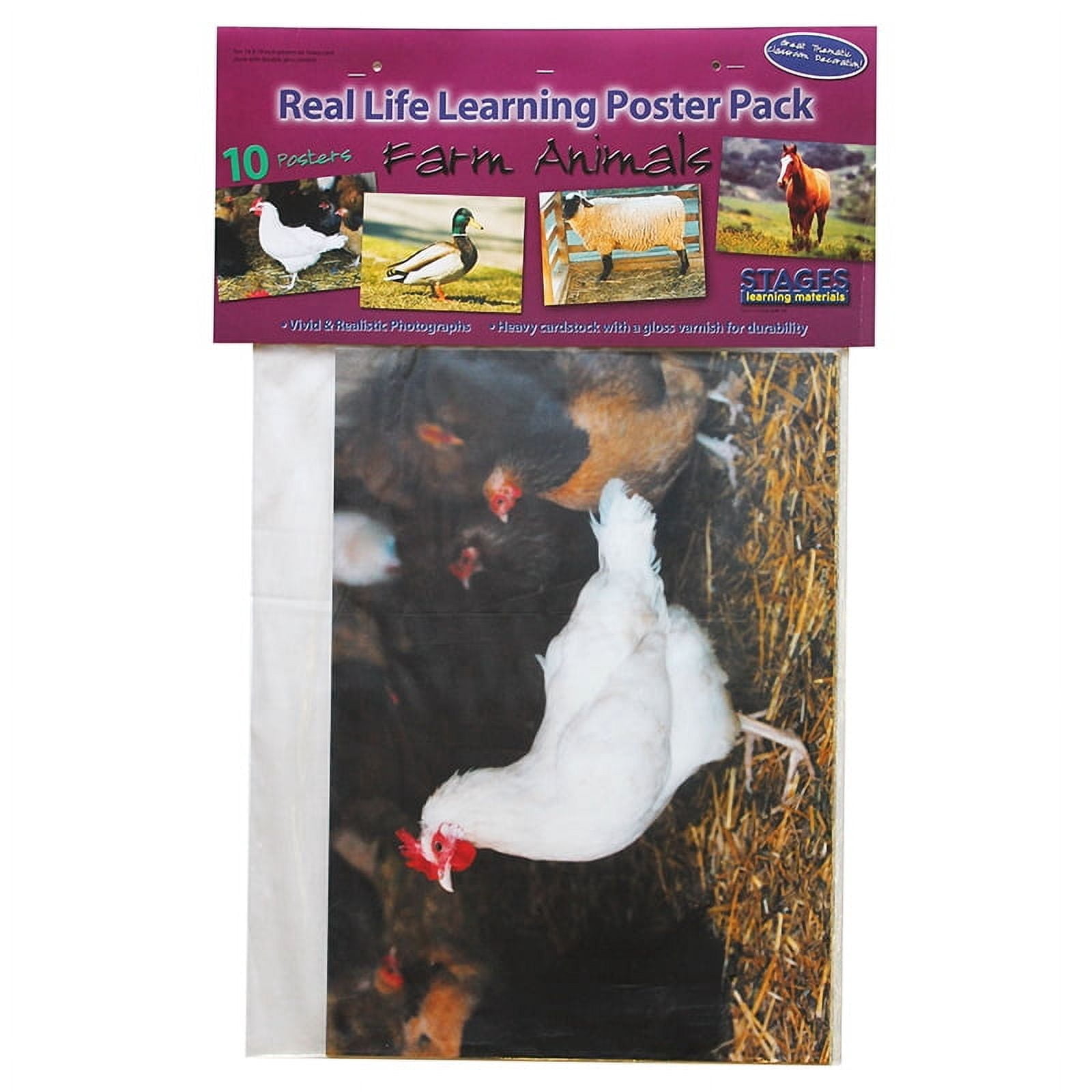 Stages Learning Materials Farm Animal Real Life Learning Poster Set ...