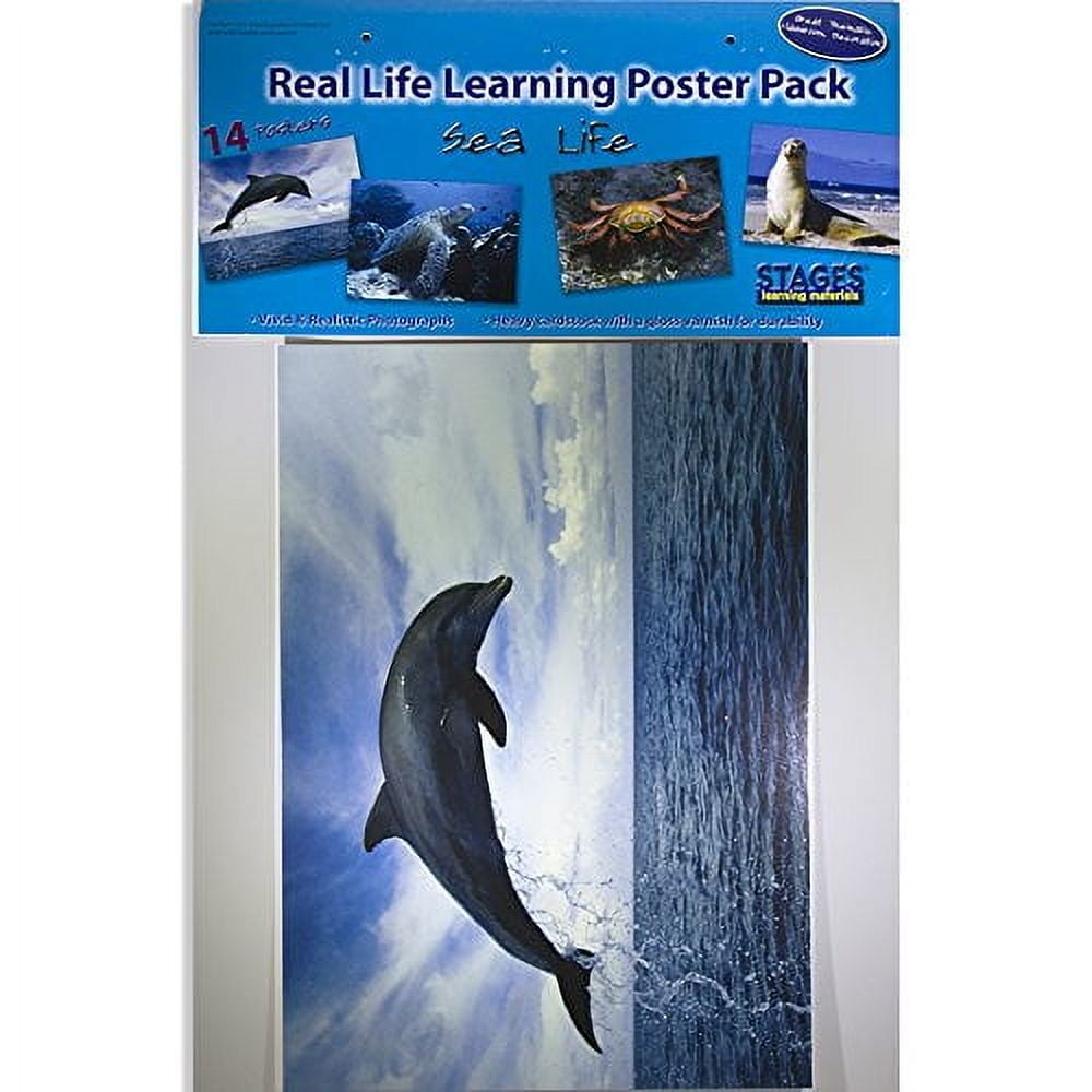 Stages Learning Sea Life Posters, 14 Real Photo Images, Multicolor ...