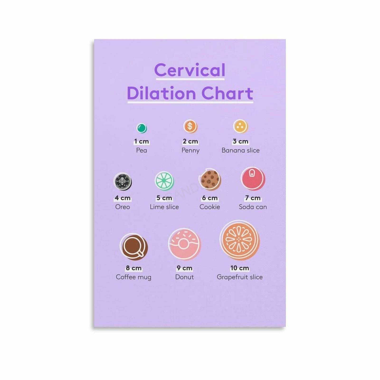 Stages Of Cervical Dilation In Labour Poster Childbirth Birth Class (3 ...