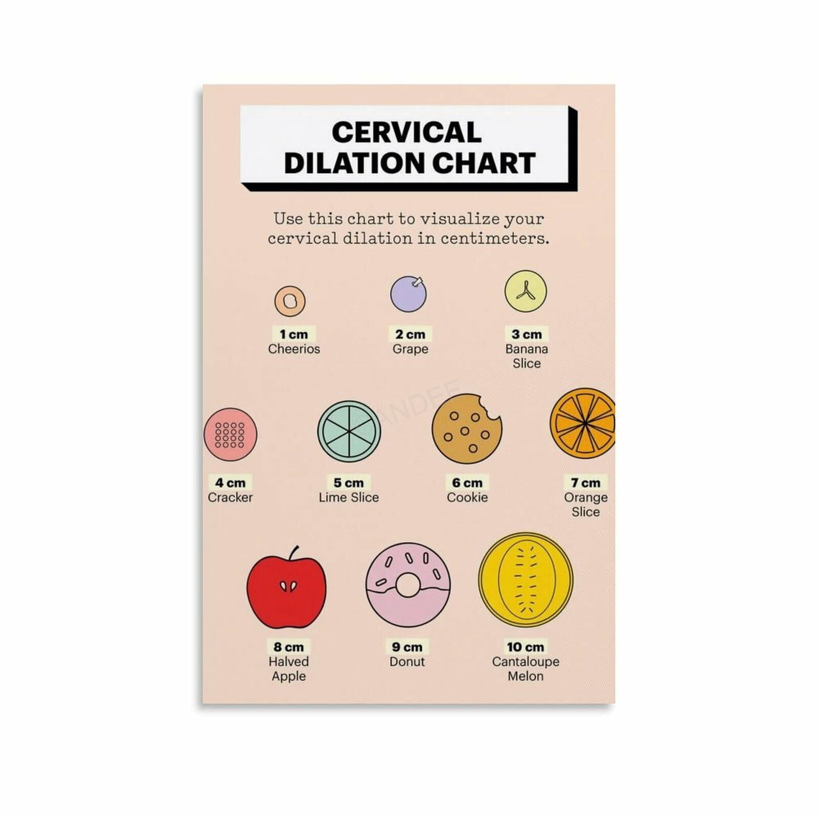 Stages Of Cervical Dilation In Labour Poster Childbirth Birth Class (7 ...