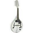 Stagg Acoustic-Electric Bluegrass Mandolin with Nato Top White ...