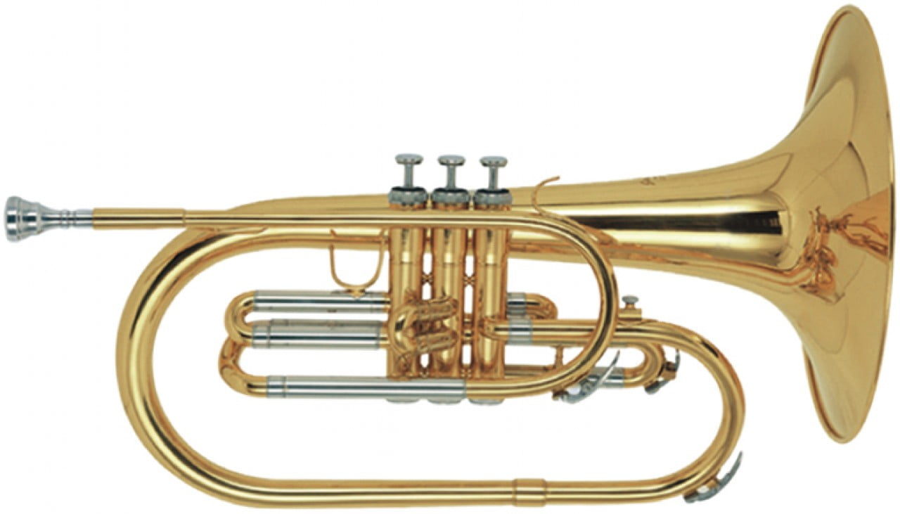 Stagg Marching Mellophone with Case - Key of F - WS-MB225 - Walmart.com