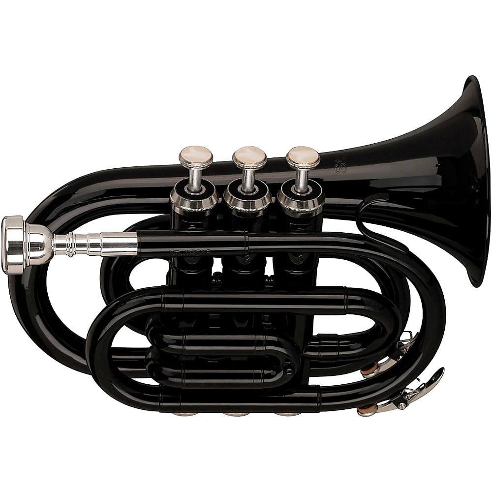 Stagg WS-TR245 Series Bb Pocket Trumpet, Black - Walmart.com