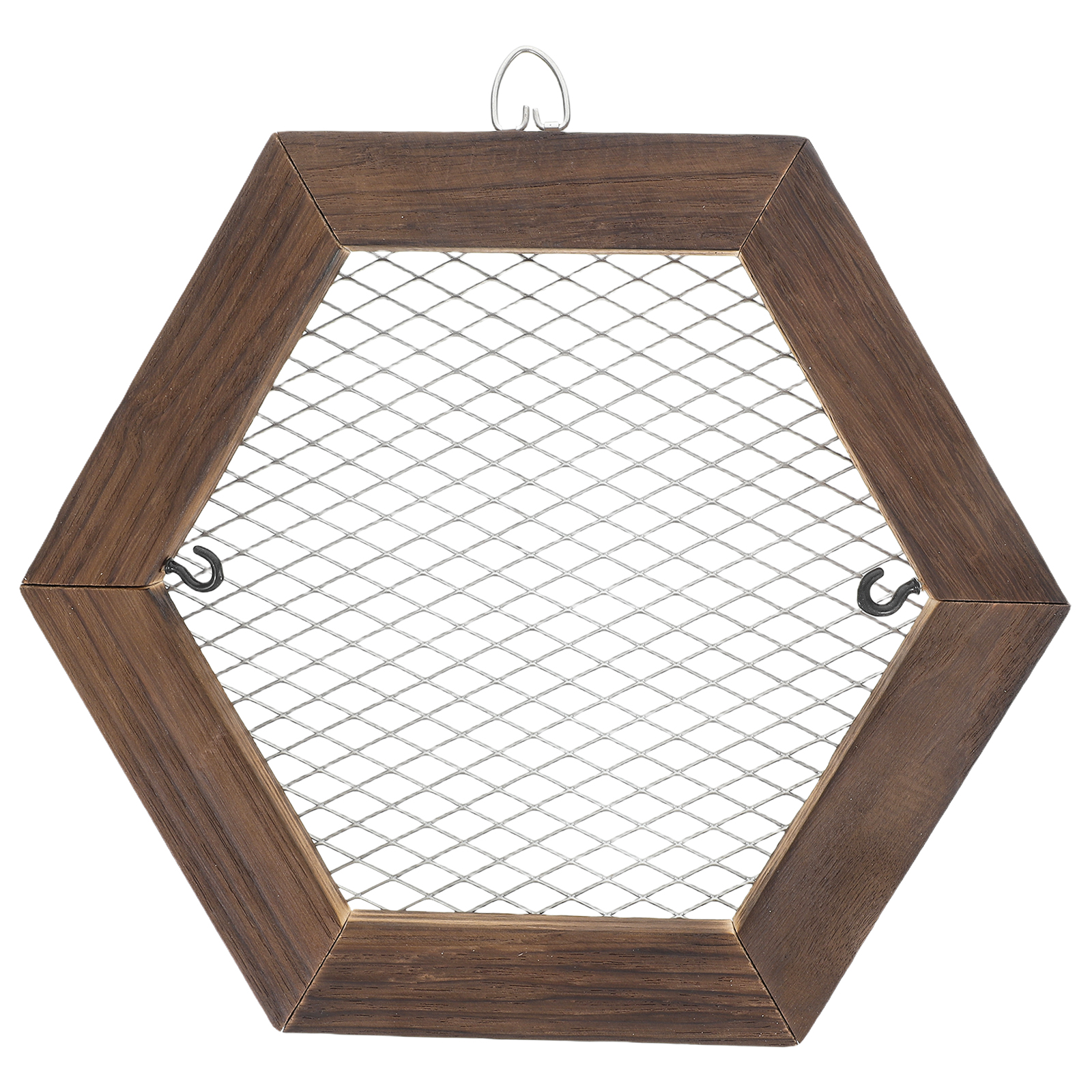 Staghorn Fern Planting Board Ceiling Hooks for Plants Plant Board ...