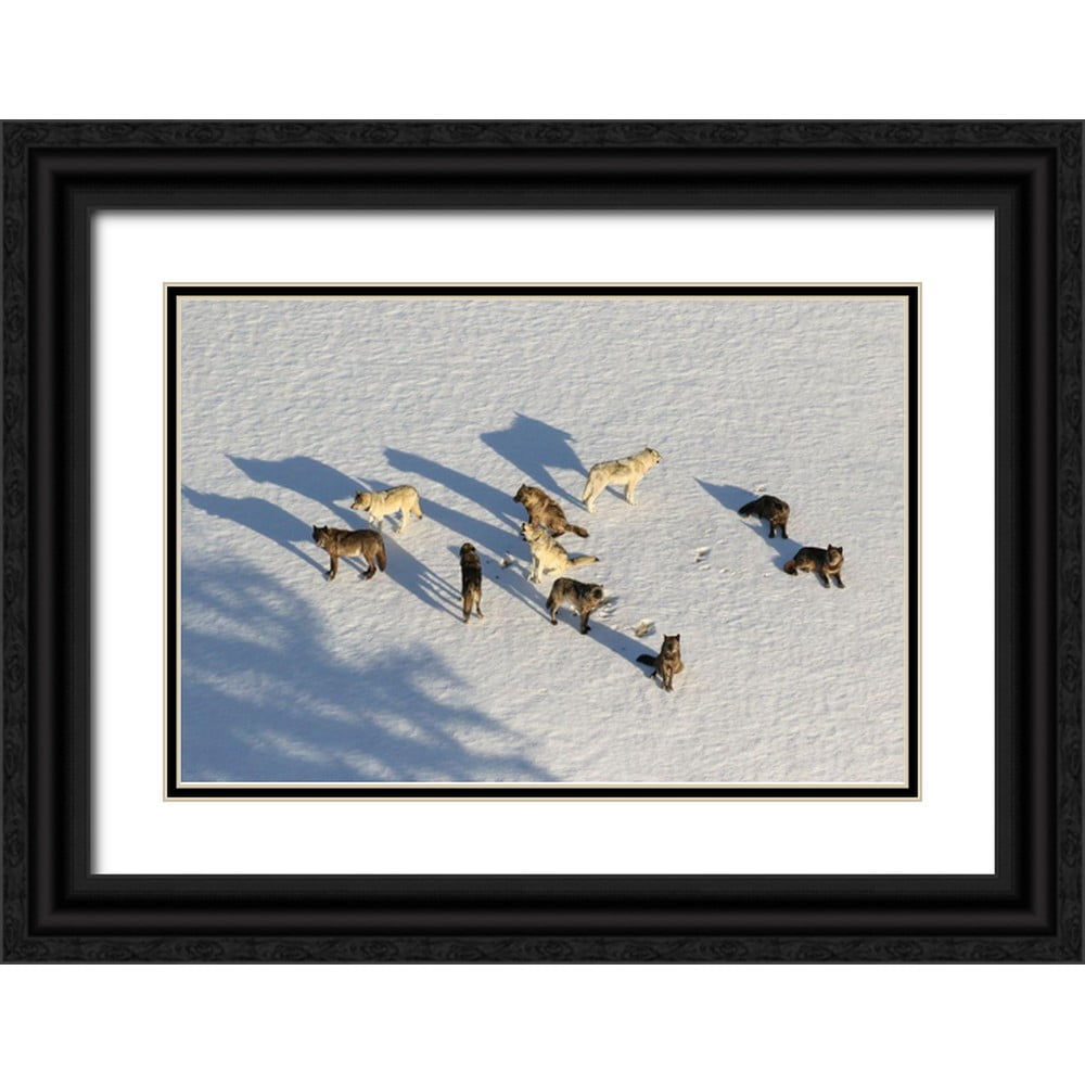 Stahler, Dan 14x11 Black Ornate Wood Framed with Double Matting Museum ...