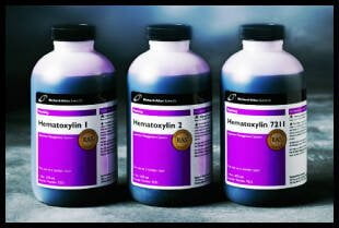 Stain Hematoxylin 1, 473 mL (1 Pint) [ 1 Ea.] - Walmart.com