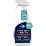 Stain & Strong Odor Eliminator, Enzyme Cleaner, Pet Odor Eliminator for ...