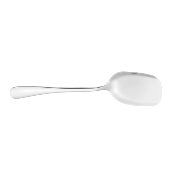 Stainless Serving Spoon, Long Handle Buffet Utensil, Cooking Flatware ...