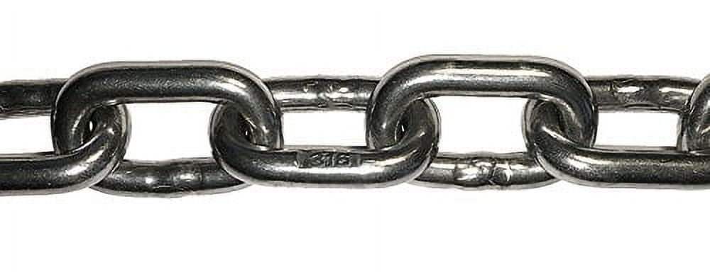 Stainless Steel 316 Chain 5/16" (8mm) Chain (by the foot) - Walmart.com