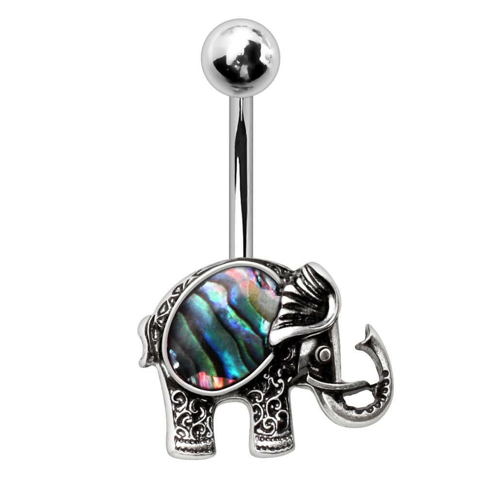 Stainless Steel Abalone Shell Elephant Belly Button Navel Ring ...
