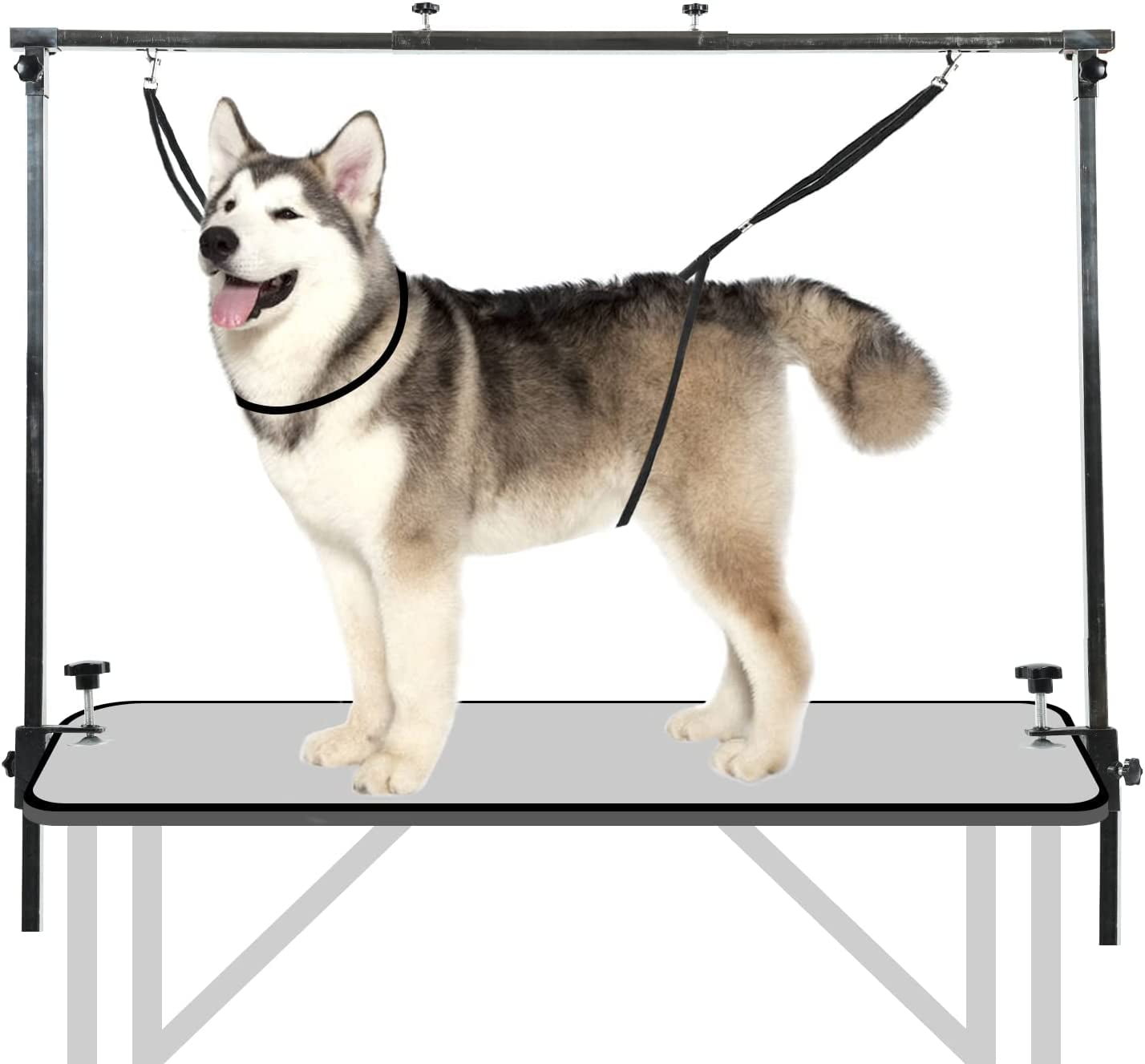 Stainless Steel Adjustable Overhead Pet Grooming Arm with Clamps and ...