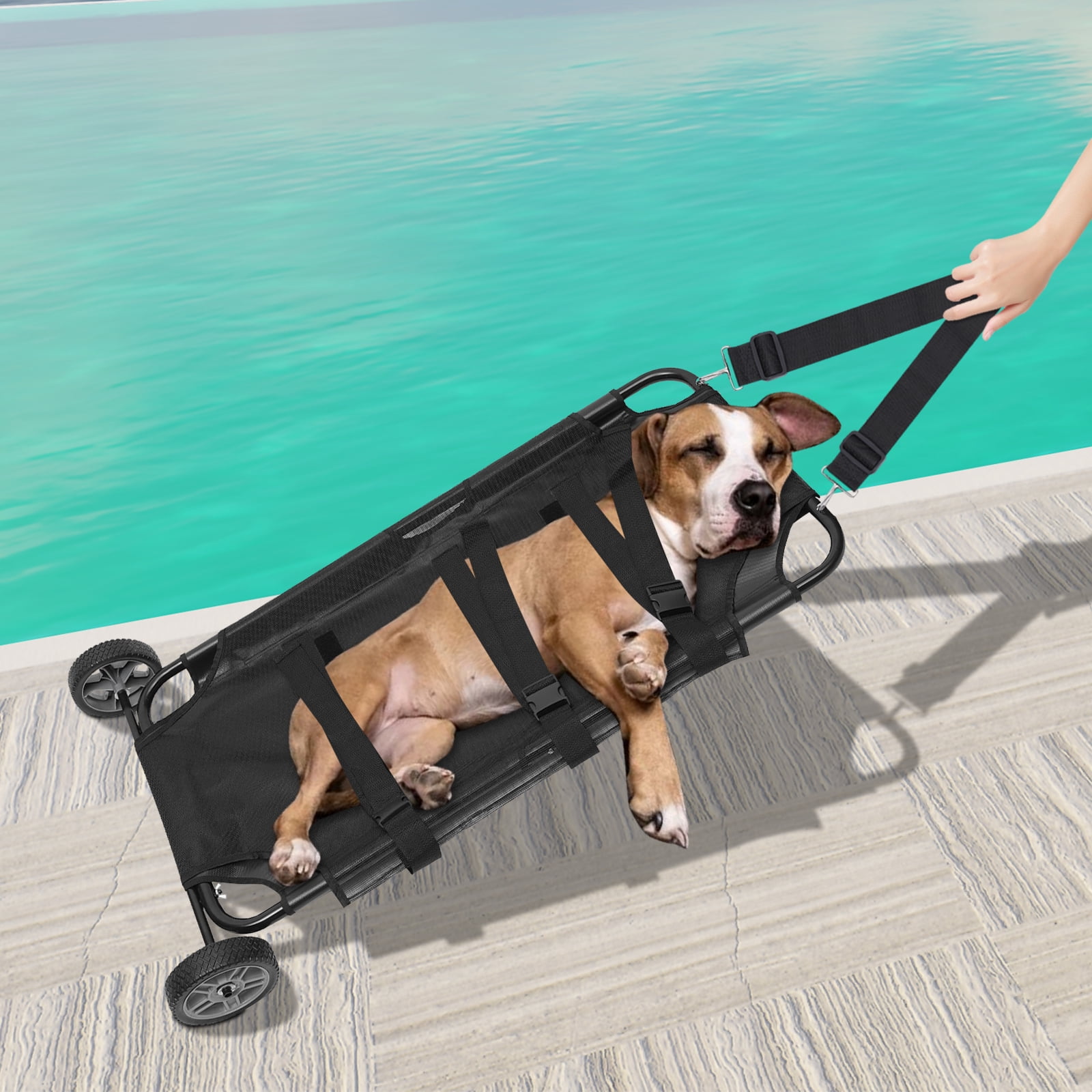 Stainless Steel Animal Stretcher Pet Trolley Black Animal Stretcher ...