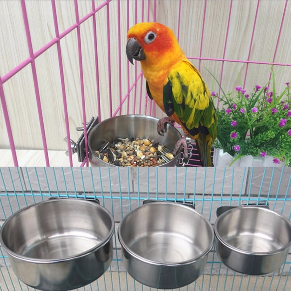 Stainless Steel Bird Feed Box Parrot Cups Bowls Container for Food ...