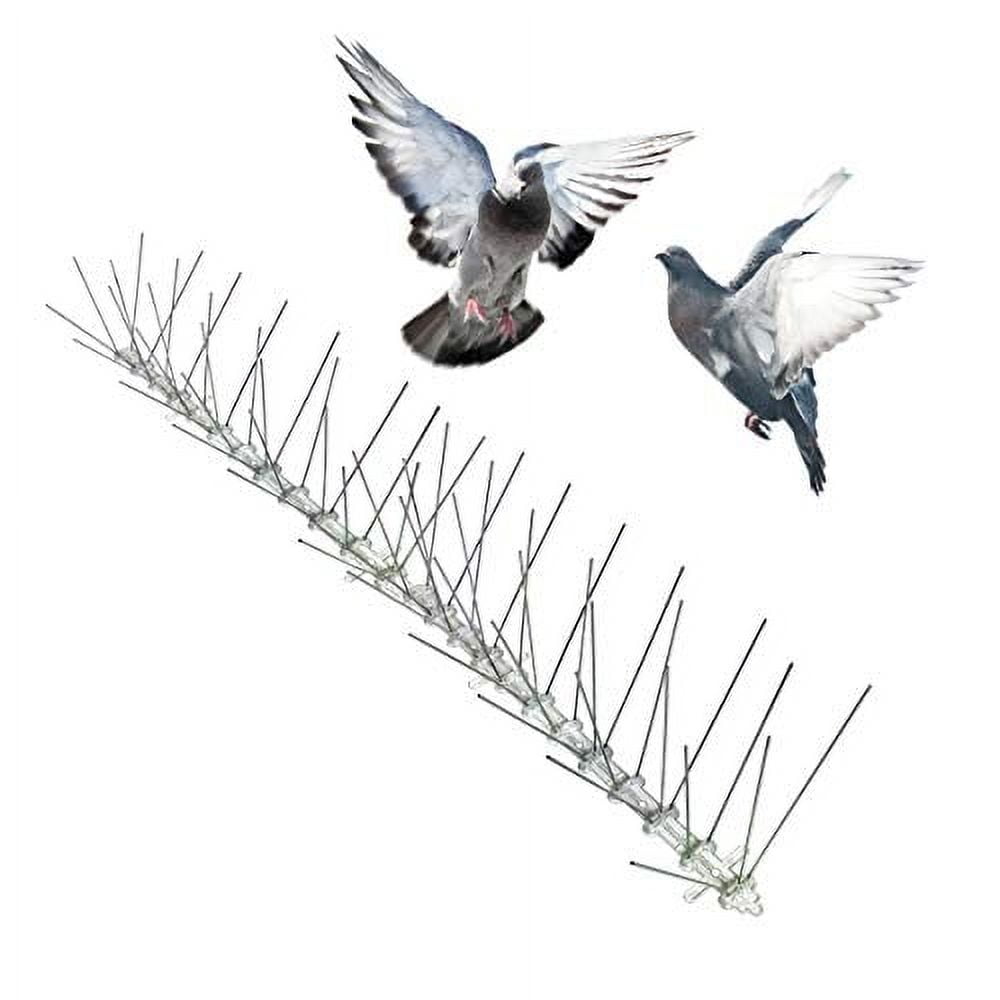 Stainless Steel Bird Spikes, 8-inch Extra-Wide Spikes for Pigeons and ...