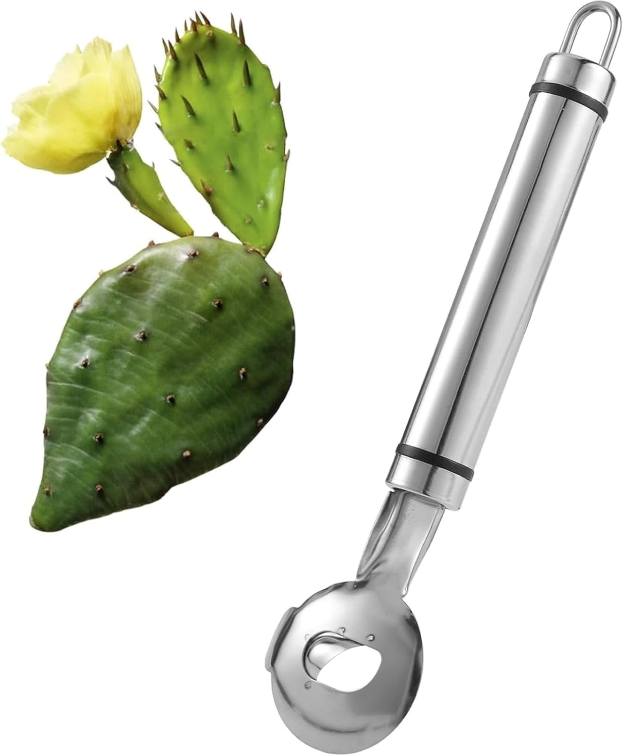 Stainless Steel Cactus Peeler, 19 x 4.8 cm Rouge Peeling Spoon Tool ...