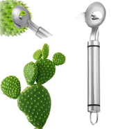 WYBXZ 2024 New Cactus Peeler, Manual Cactus Thorn Removal Cutter ...