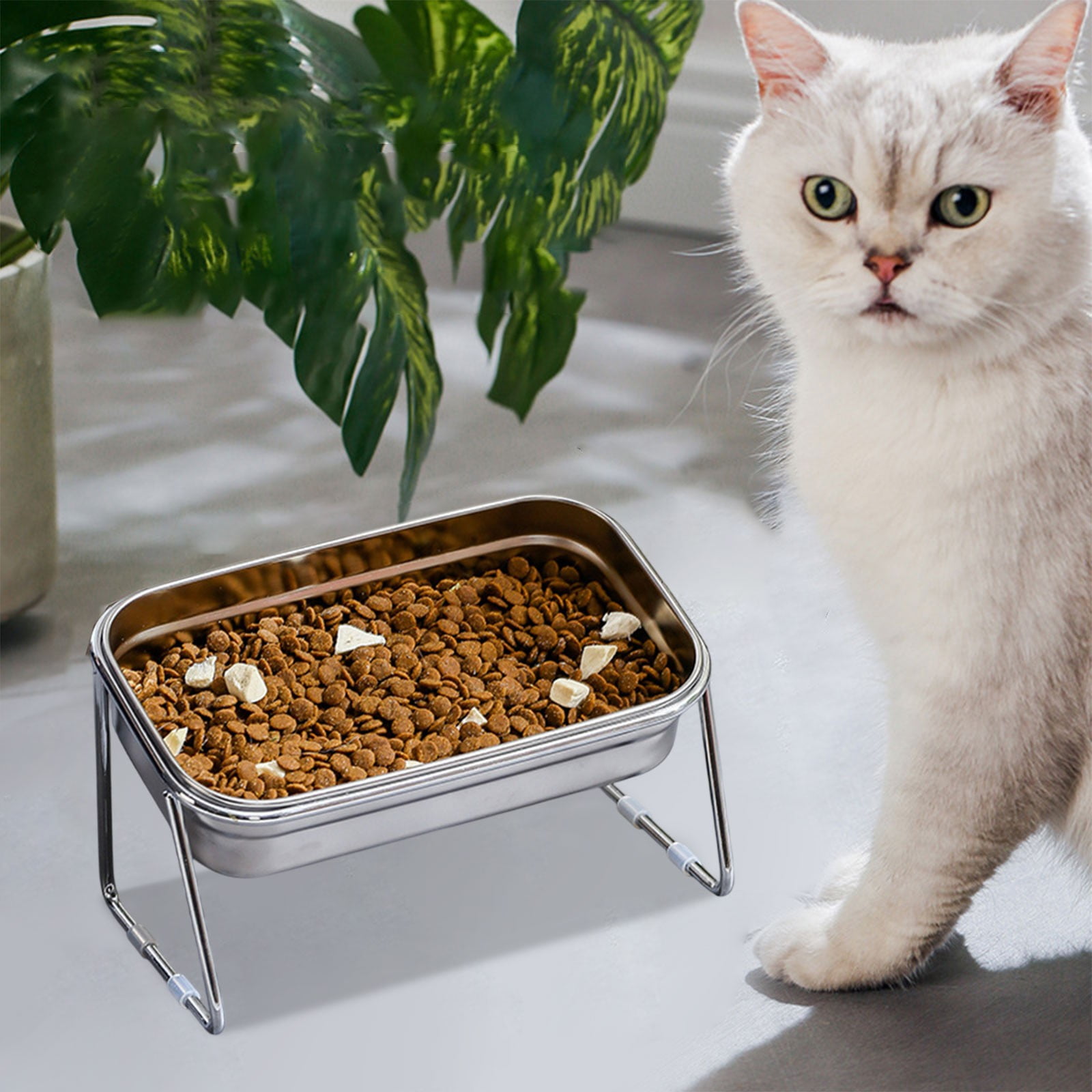 Stainless Steel Cat Dog Double Bowl | 304 Stainless, Tilted Neck ...