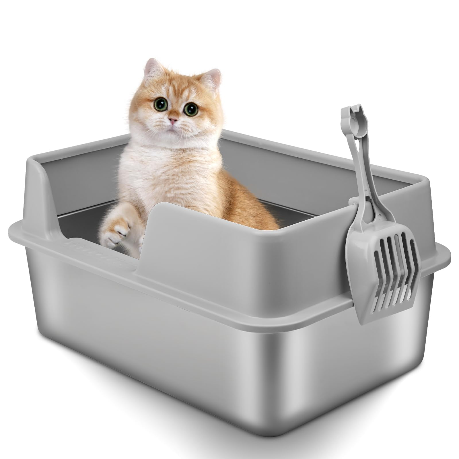 Stainless Steel Cat Litter Box with High Wall Sides Enclosure, Dxles ...