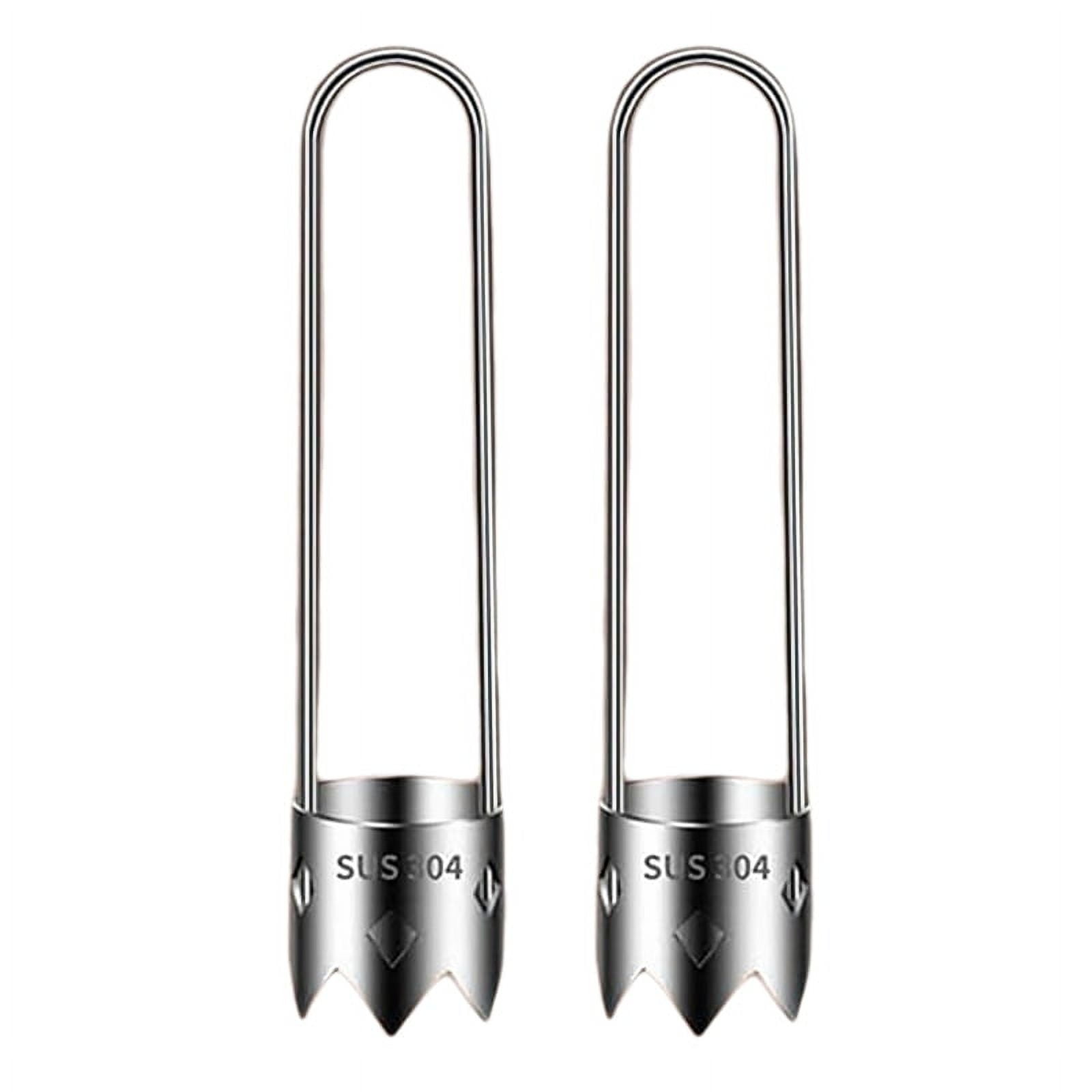 Stainless Steel Corer to Remove Pear Cores, Fruit Cores, Vegetable ...