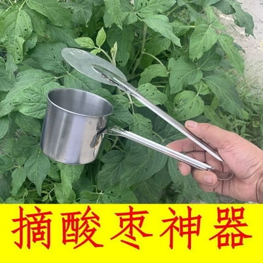 6 ft. Telescopic Fruit Picker Long Reach Fruit Harvester - Walmart.com