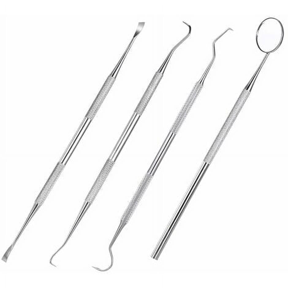 Stainless Steel Dentist Tool Kit, 4-Piece Set for Professional ...